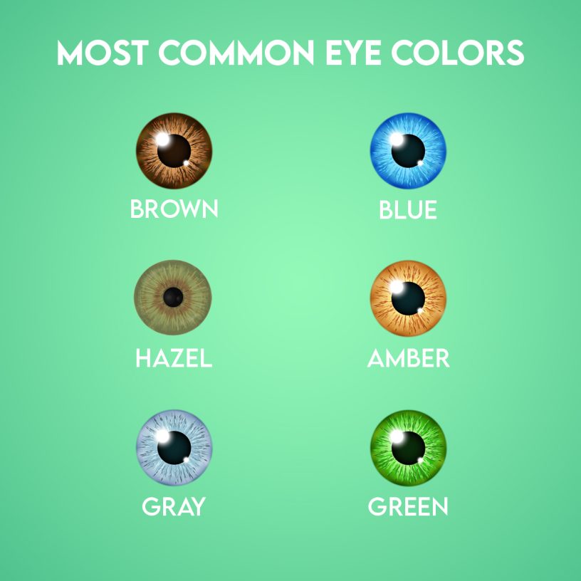How Many Eye Colors Are There Which One Are The Most Common how-many-eye-colors-are-there-which-one-are-the-most-common